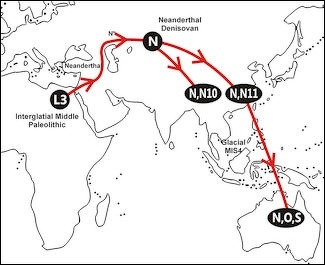 Neanderthal Dna Map