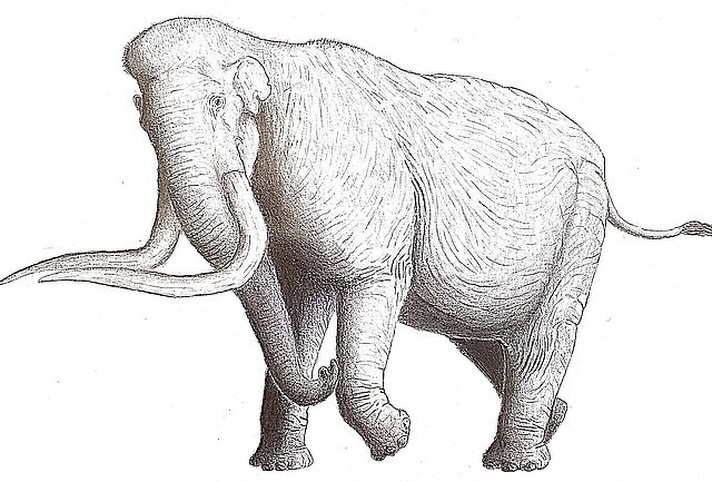 Mammoths: Origin, History, Species, Spread, Extinction | Early European ...